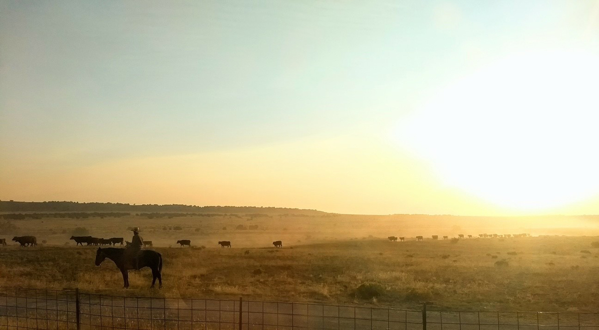 Generational Southeastern Colorado UE and Iron Springs Ranches ...