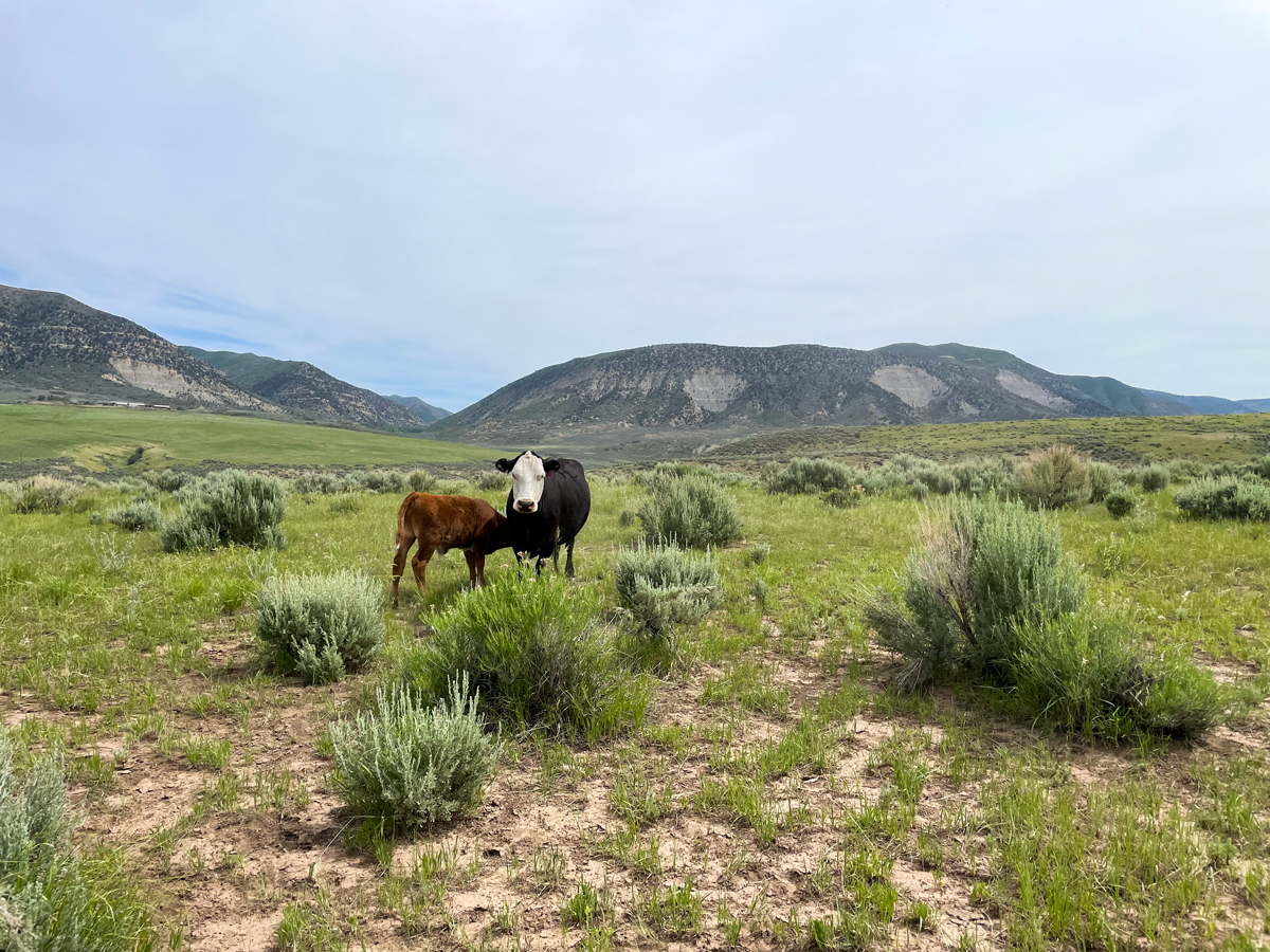 Fifth Generation Ranch Protected by Two Easements, Dunham Ranches ...