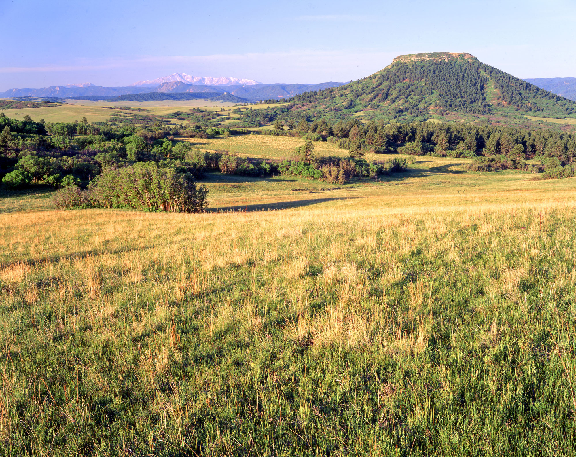 2023 Forever Colorado BBQ - Colorado Cattlemen's Agricultural Land Trust